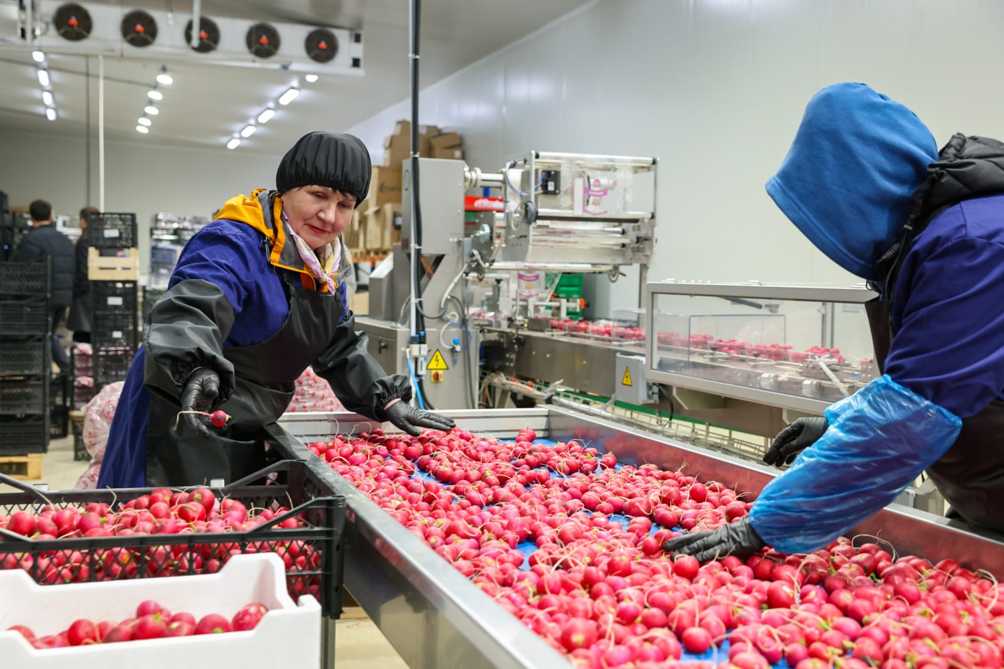 Dorin Recean a vizitat o companie din satul Calfa, raionul Anenii Noi ...
