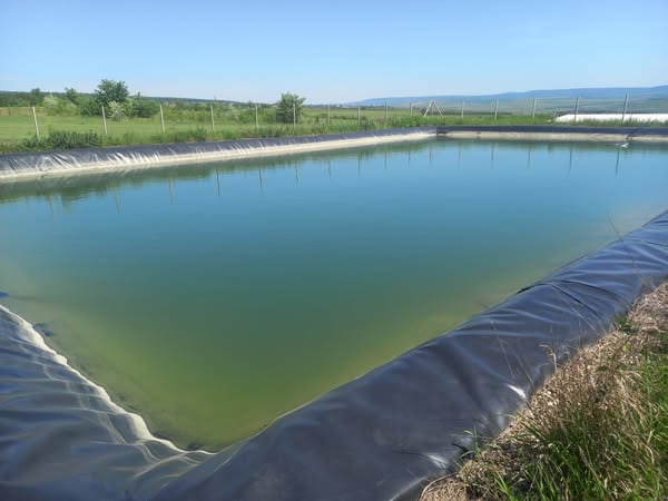 Agricultorii din Florițoaia Veche își unesc eforturile pentru ...
