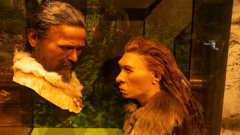 Împerecherile dintre Homo Sapiens și Neanderthalieni, cauza unei rare ...
