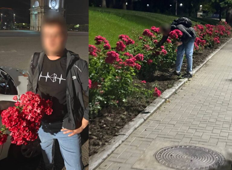 De ce să cumperi flori dacă le poți rupe pe aleile din Chișinău? Un ...