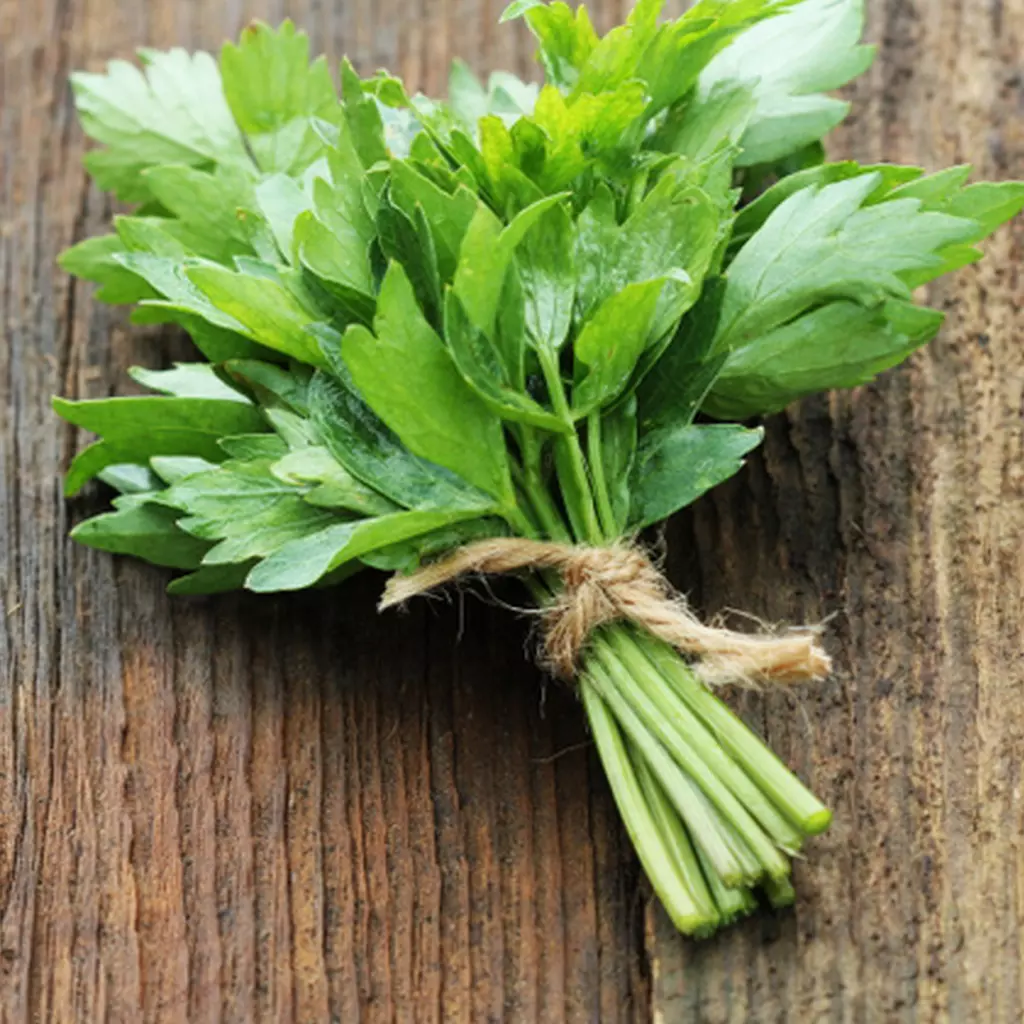 Leuștean - beneficii pentru sănătate și contraindicații. Ce trebuie să ...