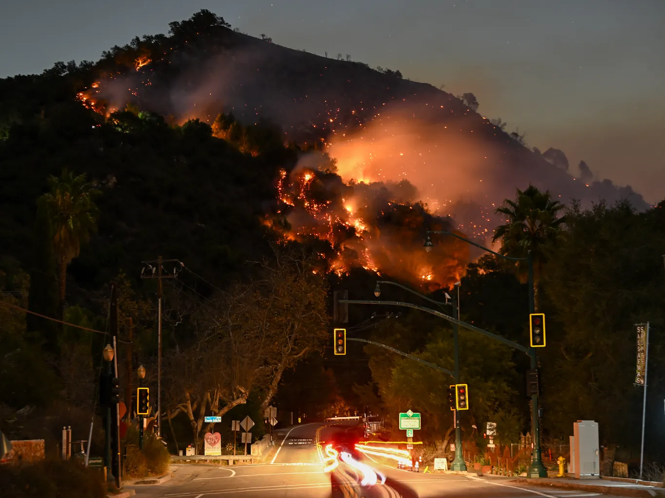 Un urs s-a mutat într-o casă abandonată din cauza incendiilor din Los ...