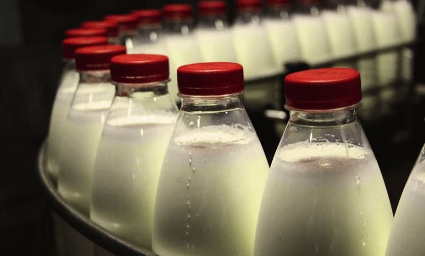 R.Moldova a devenit cel mai mare cumpărător de lapte și smântână din ...